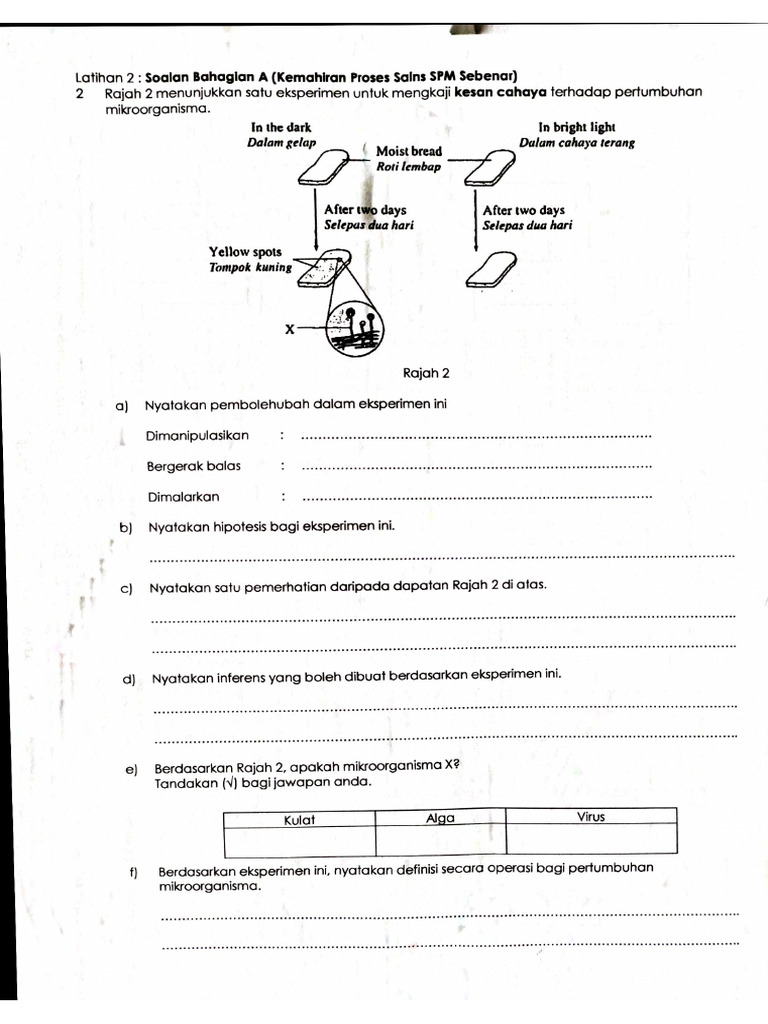 Latihan Sains Bab 1 & 2 | PDF