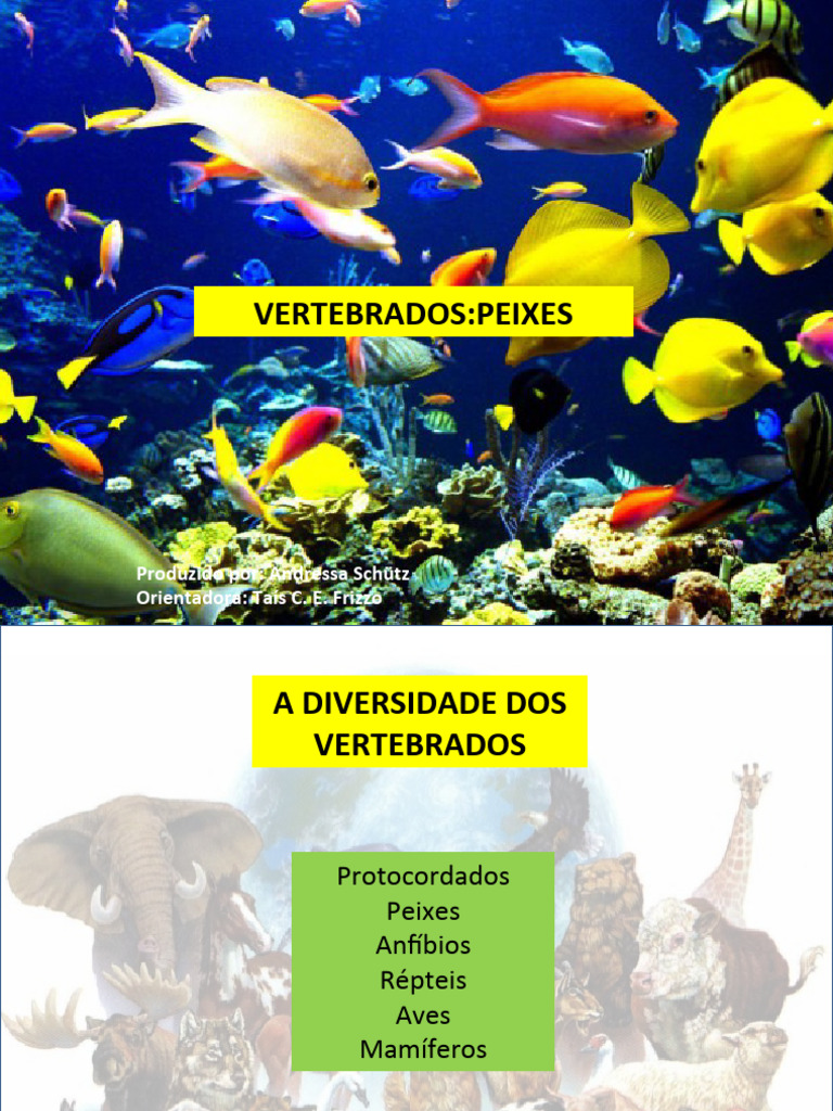 Diversidade dos Peixes e Reprodução | PDF | Peixes | Vertebrados