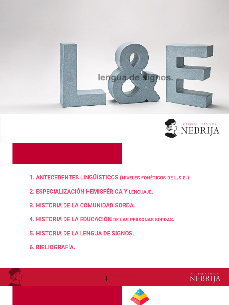 Tema 8 D.A. PT | PDF | Lenguaje de señas | Hemisferio cerebral