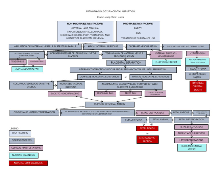 Pathophysiology Placental Abruption | PDF | Medical Specialties | Cardiovascular System