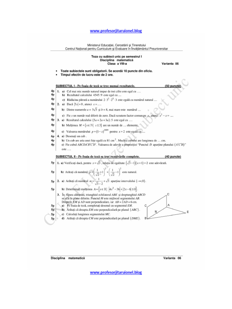 Model 2 Subiectebarem Teza Mate Sem i Cls8 | PDF