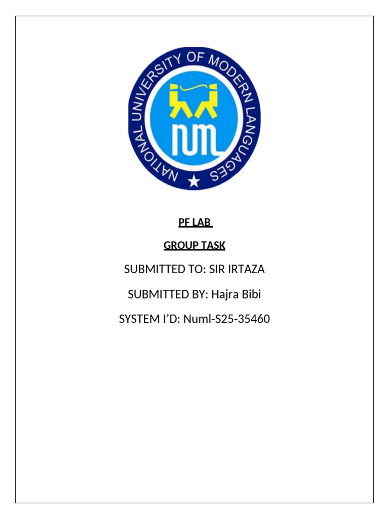 PF Lab Group Task Hajra Bibi | PDF