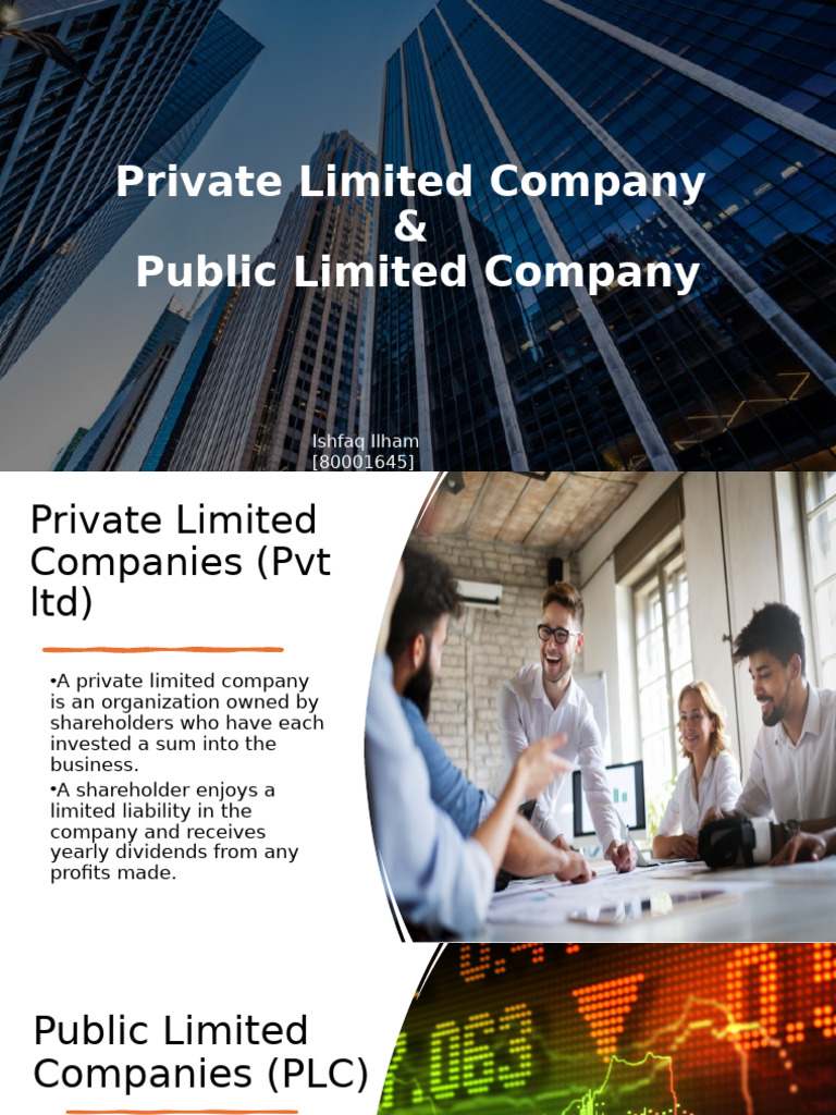Private vs Public Limited Companies Explained | PDF | Companies | Stocks