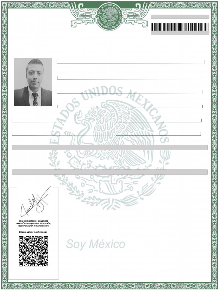 Titulo Electronico | PDF