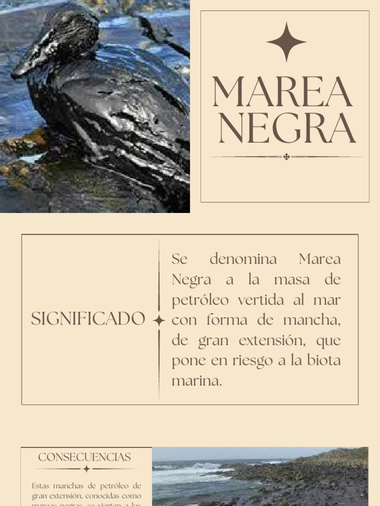 Marea Negra | PDF
