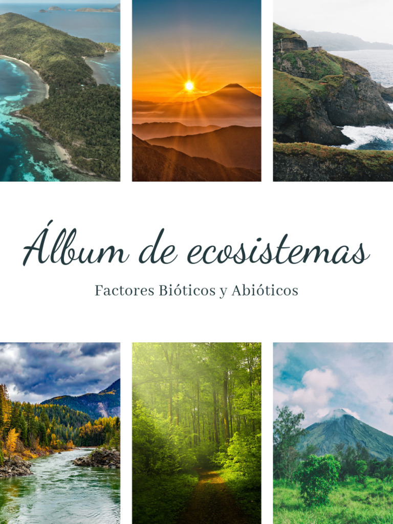 Álbum de Ecosistemas y Biomas | PDF