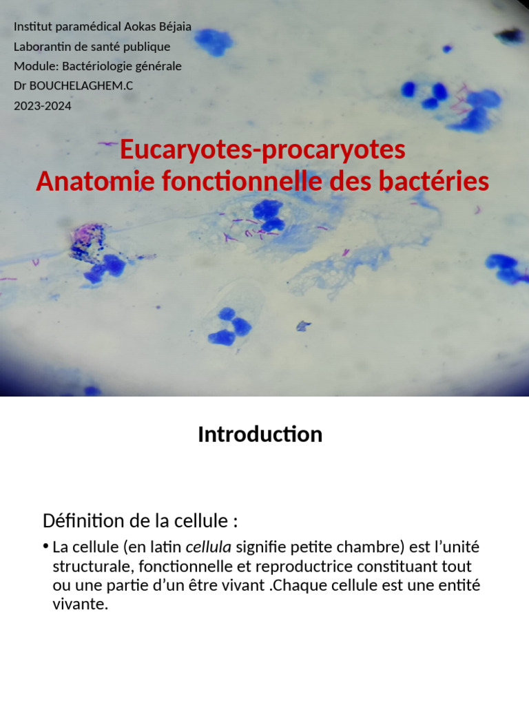 cours_N02_LSP_Cellule_Eucaryote_Cellule_Procaryote_anatomie_des | PDF | Cellule (Biologie ...
