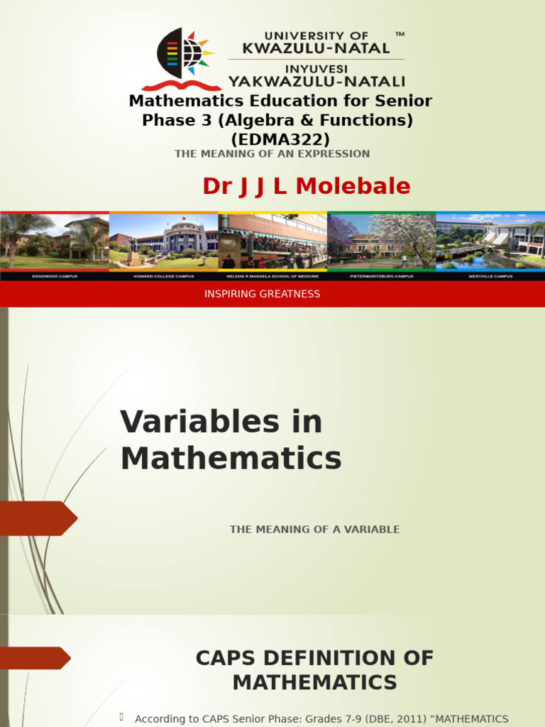 Variables in Matheatics | PDF | Variable (Mathematics) | Mathematics