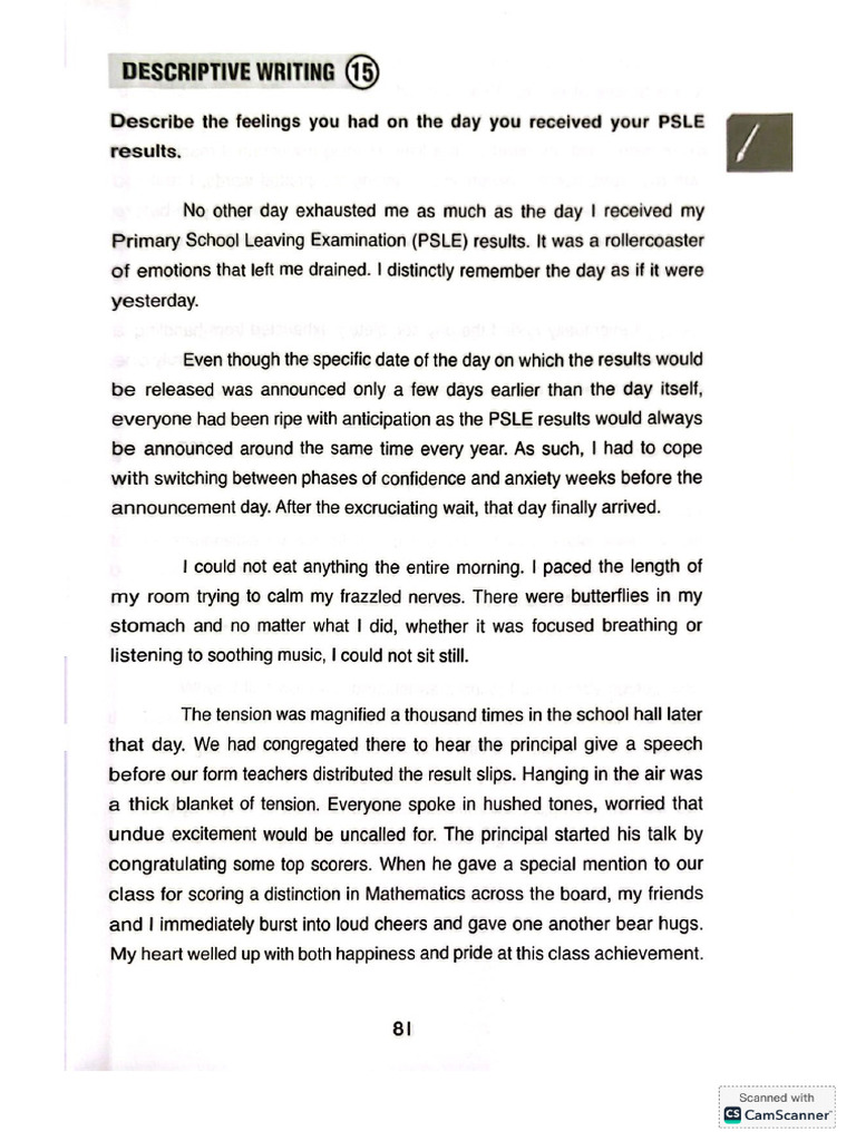 Describe Feelings Getting Exam Results | PDF