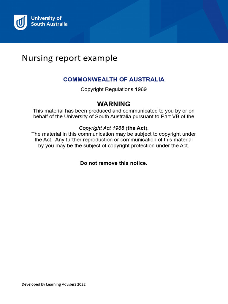 Reports Nursing Example 2022 | PDF