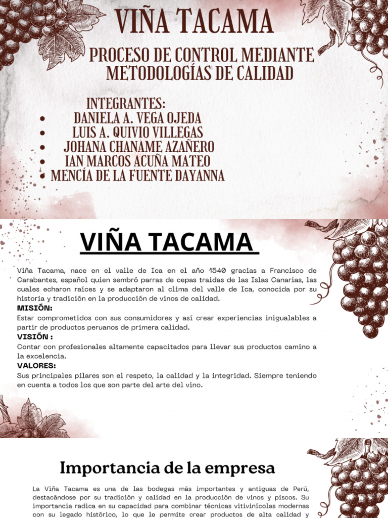 TA4 VINO TACAMA - Ejemplo | PDF