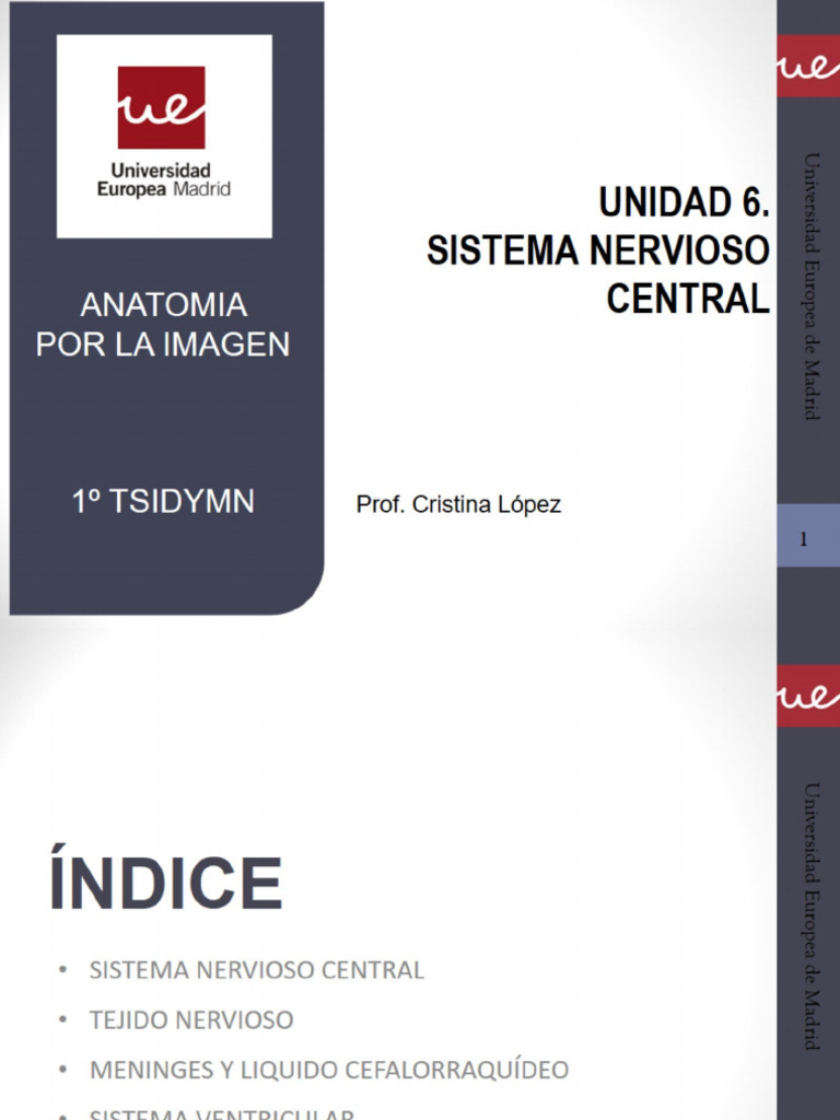 Ar Ut6 Completo | PDF