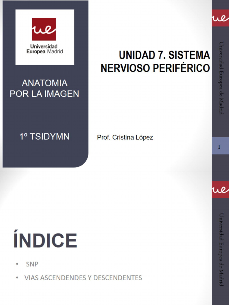 Ppt Ar Ut7 Completo | PDF