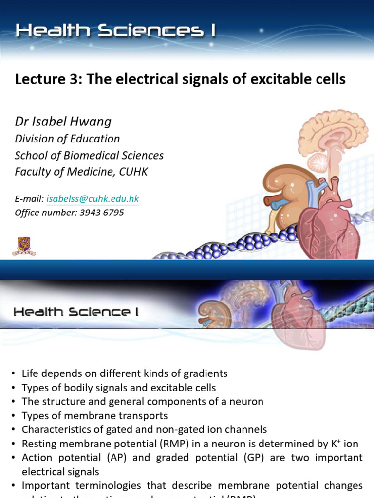 Lecture 3 - The Electrical Signals of Excitable Cells (MEDF1011 ...