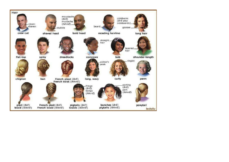 Hair Styles Vocabulary | PDF