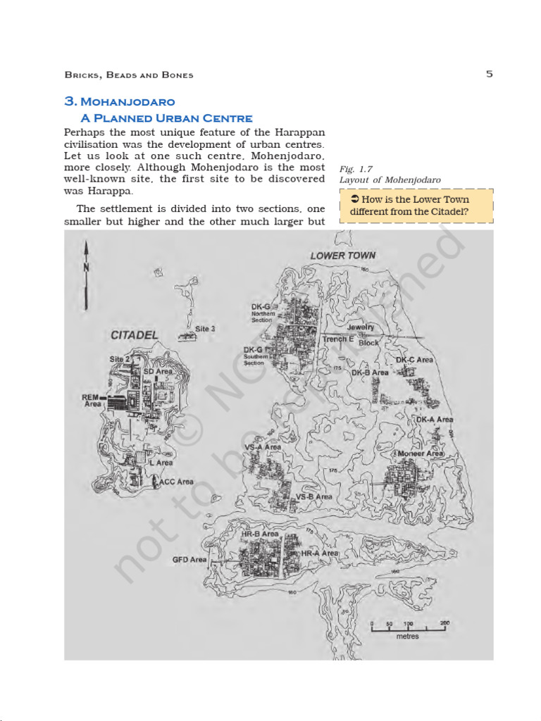 History Class XII Final - PMD | PDF | Archaeology