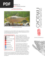 The Outsiders Chapter 2 | PDF