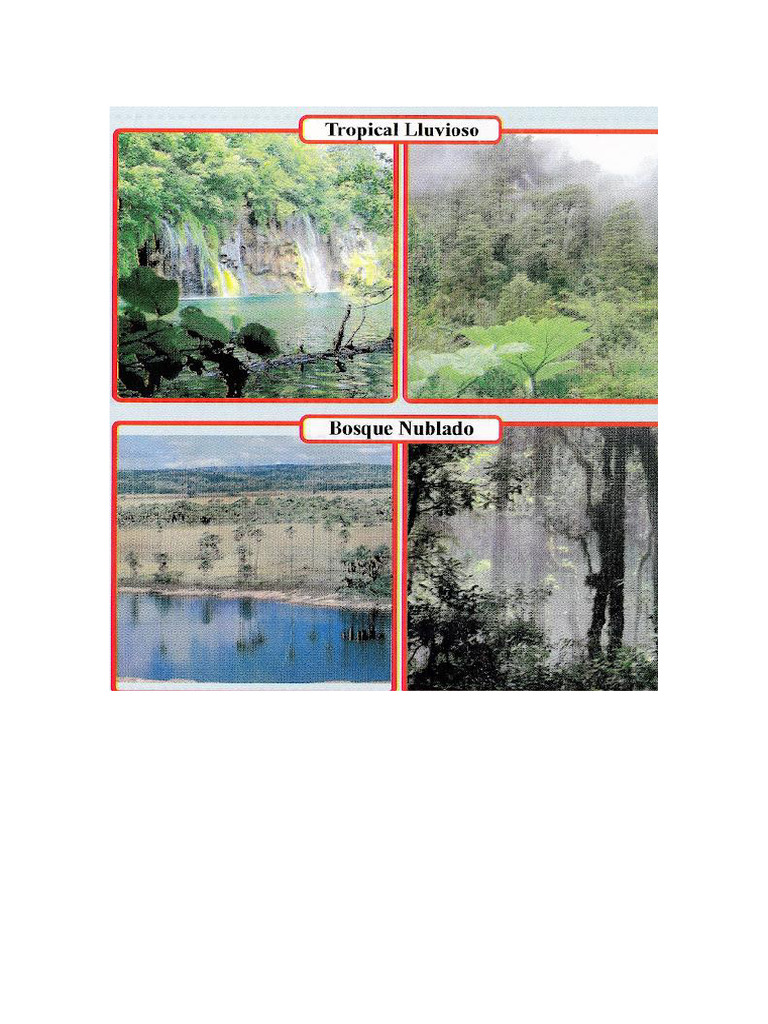 Tipos de Clima en Honduras | PDF | Zona tropical | Los bosques