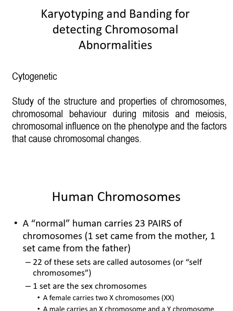 Karyotyping and Chromosome Banding Techniques | PDF | Chromosome | Karyotype