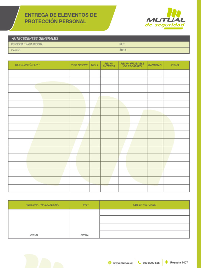 Formulario Entrega de EPPFormulario Entrega de EPP - Registro-Entrega-Epp | PDF