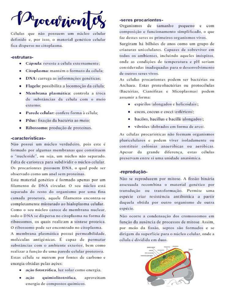 Procariontes | PDF