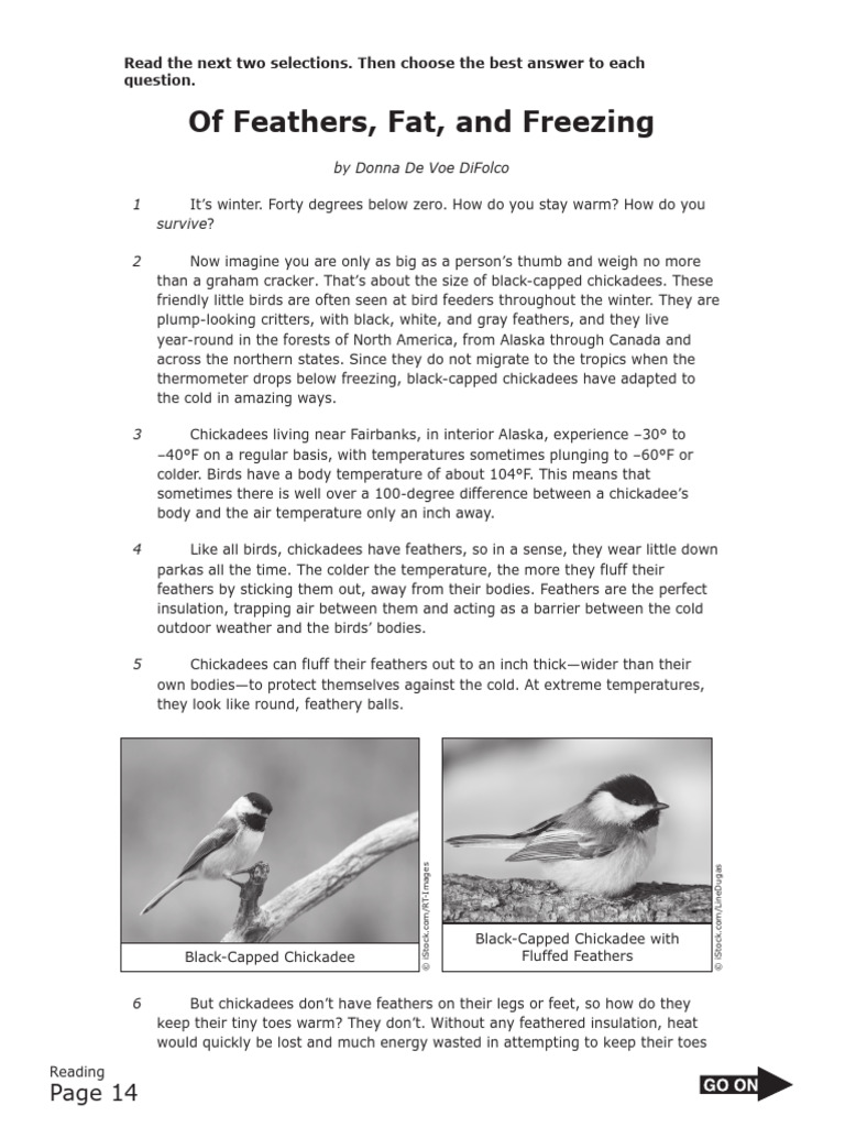 (2019) of Feathers, Fat, and Freezing & Chickadee's Song - Compare Info ...
