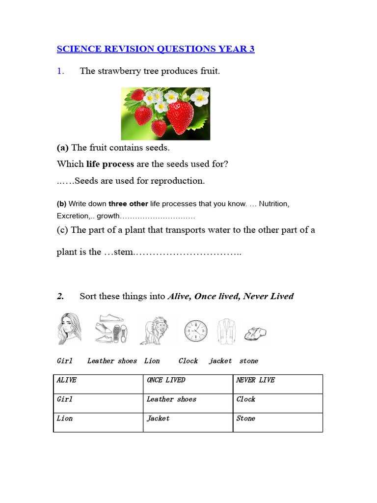 Science Revision Questions Year 3 | PDF