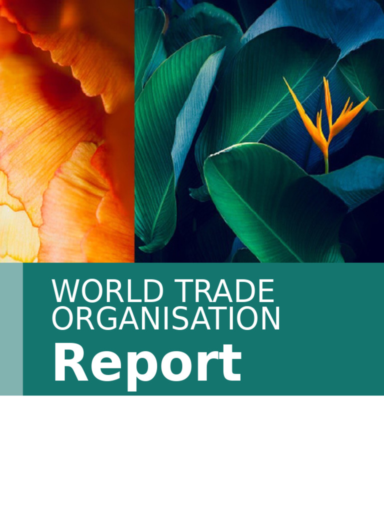World Trade Organisation | PDF