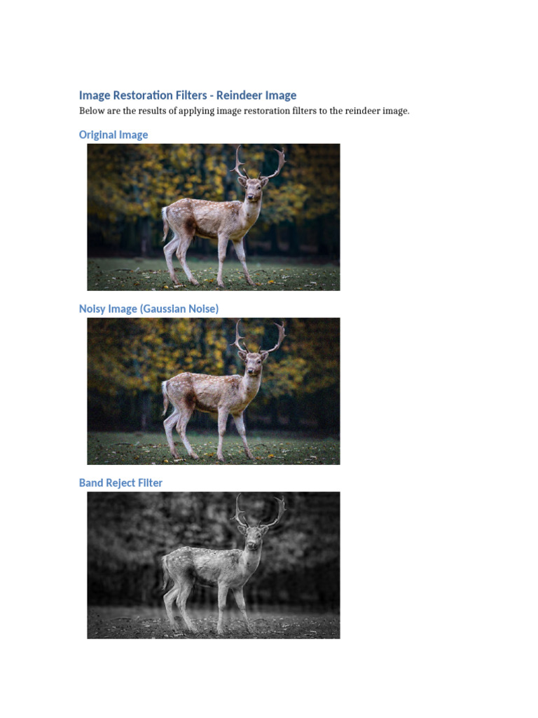 Image Restoration Filters for Reindeer | PDF
