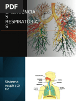5Hs e 5Ts Da PCR | PDF | Coração | Sangue