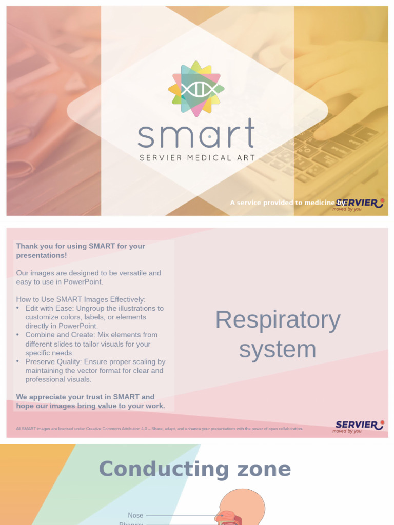 SMART Respiratory System | PDF | Respiratory System | Pulmonology