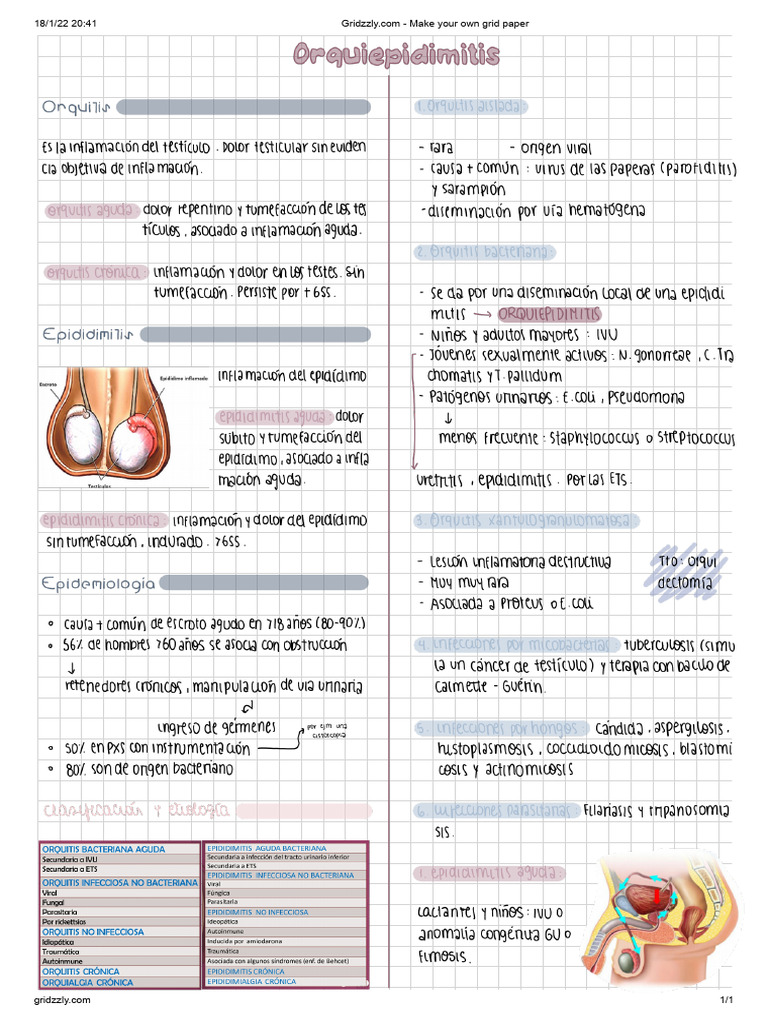 4 ORQUIEPIDIMITIS_220927_163513 | PDF