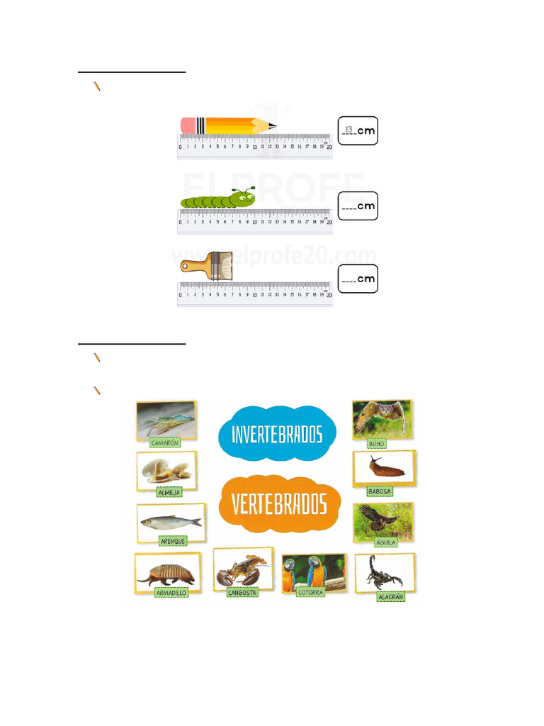 Tarea 2 Al 5 de Septiembre | PDF