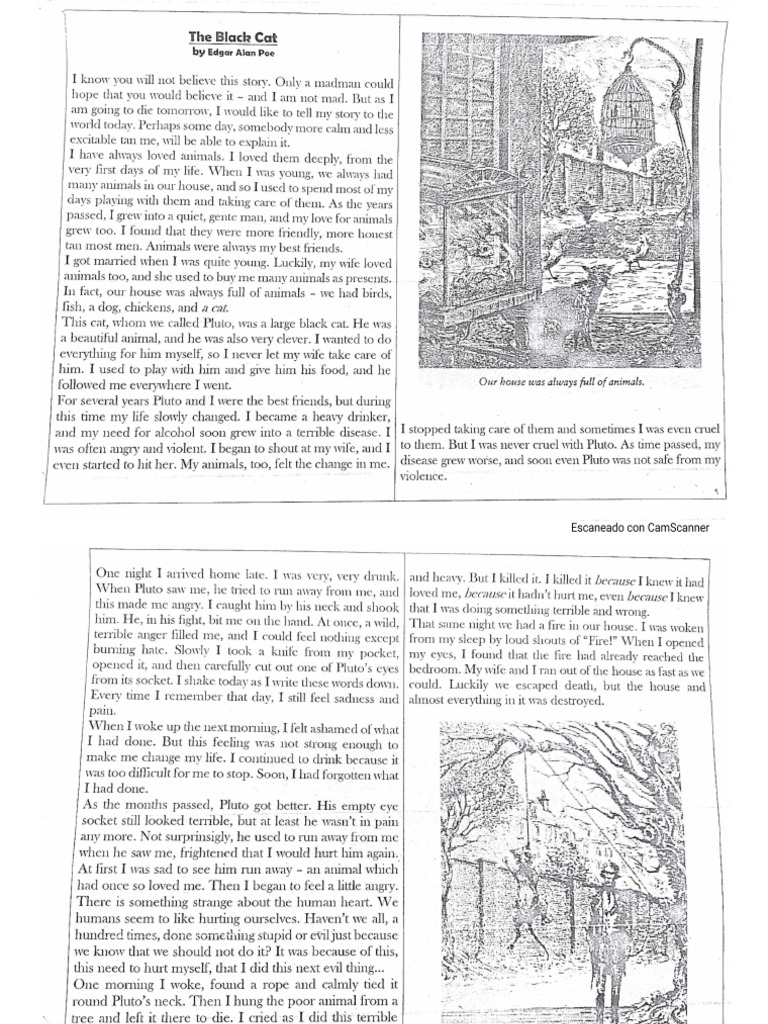 The Black Cat. | PDF