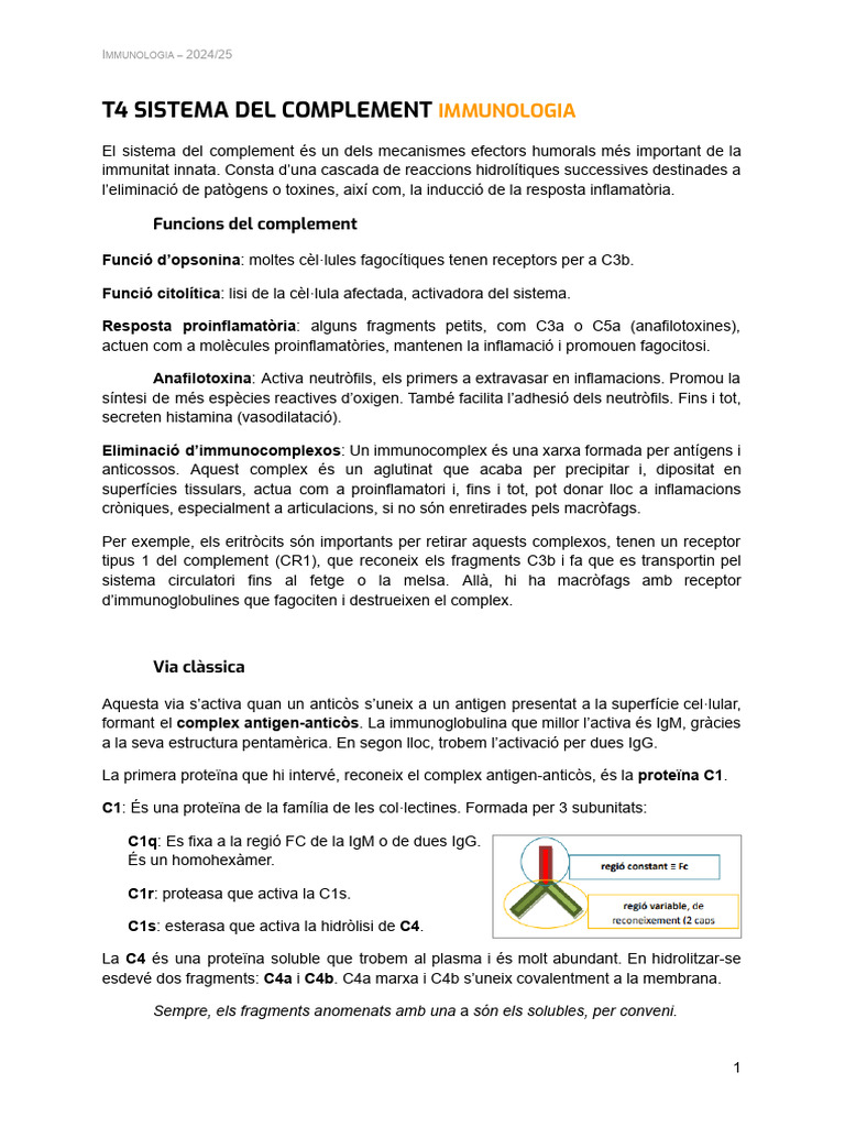 T4 COMPLEMENT - Immunologia | PDF