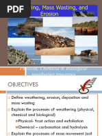 Carbonation Weathering | PDF