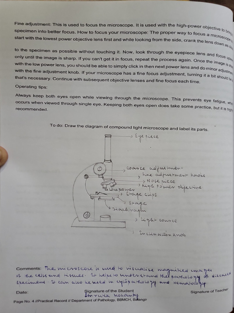 Patho Experiment | PDF
