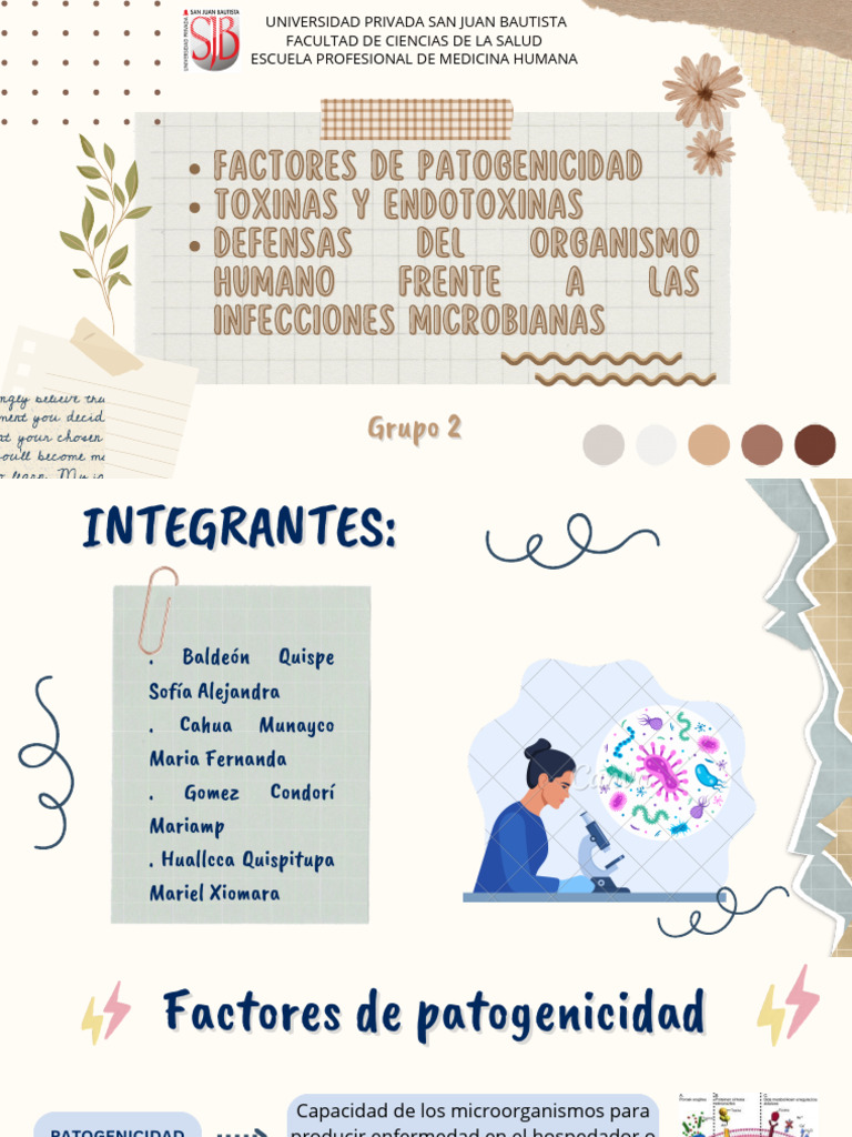 MICRO EXpo Primero | PDF | Sistema inmune | Las bacterias