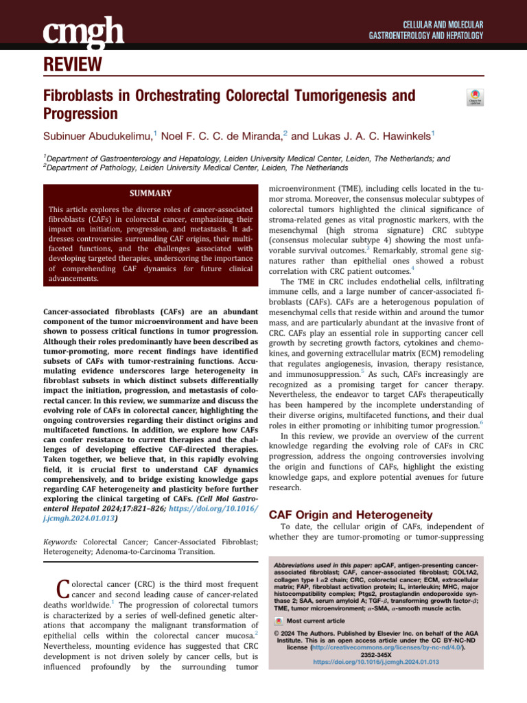 Fibroblasts in Orchestrating Colorectal Tumorigene | PDF | Transforming Growth Factor Beta ...