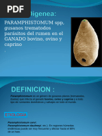 Ciclo biológico de Paramphistomum cervi | PDF