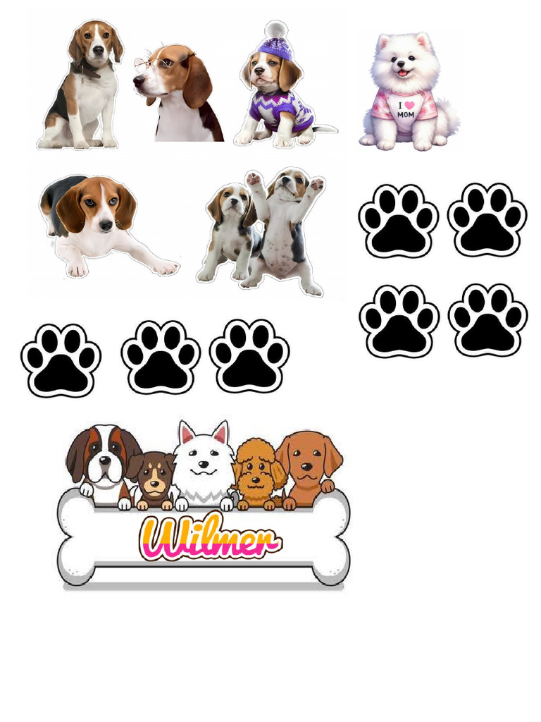 TOPER NORMA PERRITOS | PDF