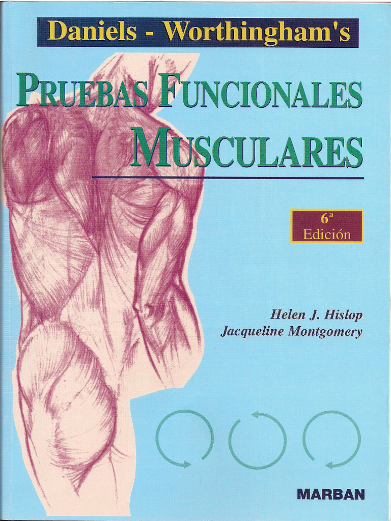 Pruebas Musculares Daniels | PDF