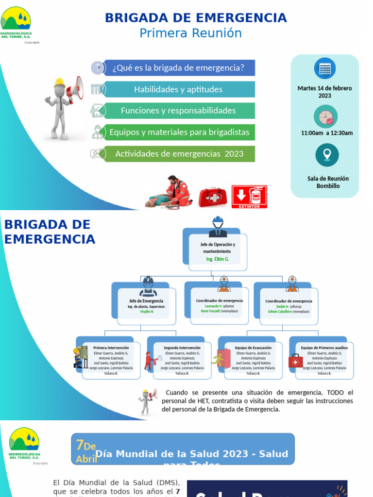 ESTRUCTURA Brigada de Emergencia | PDF