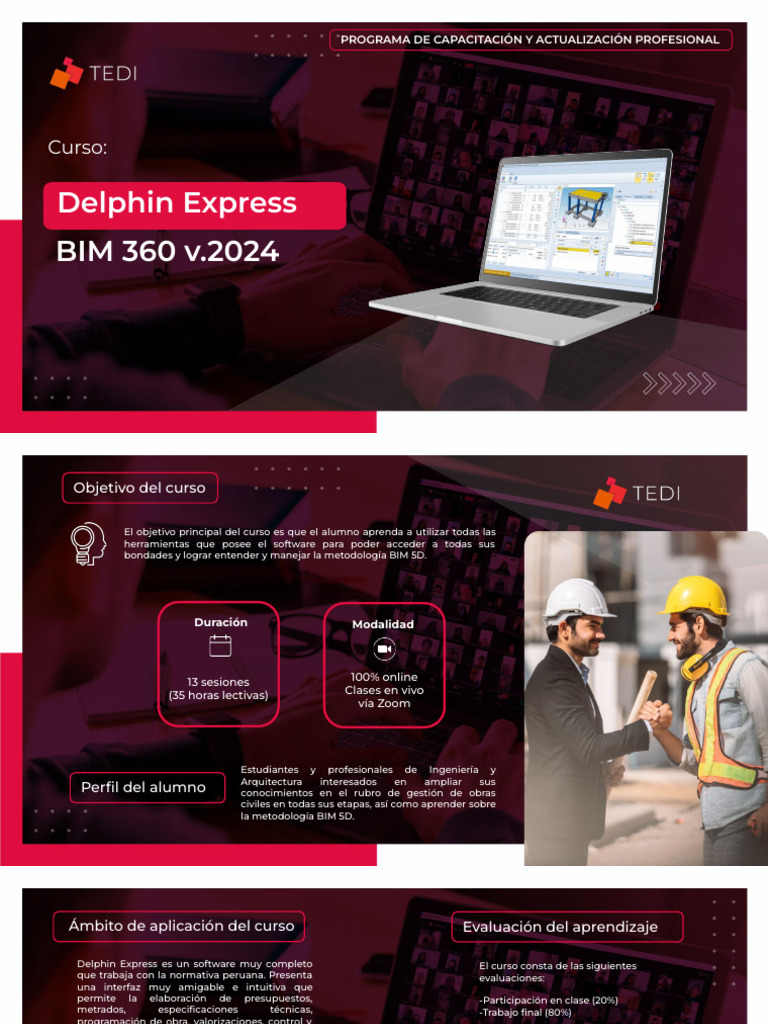 Delphin Express | PDF | Software | Presupuesto
