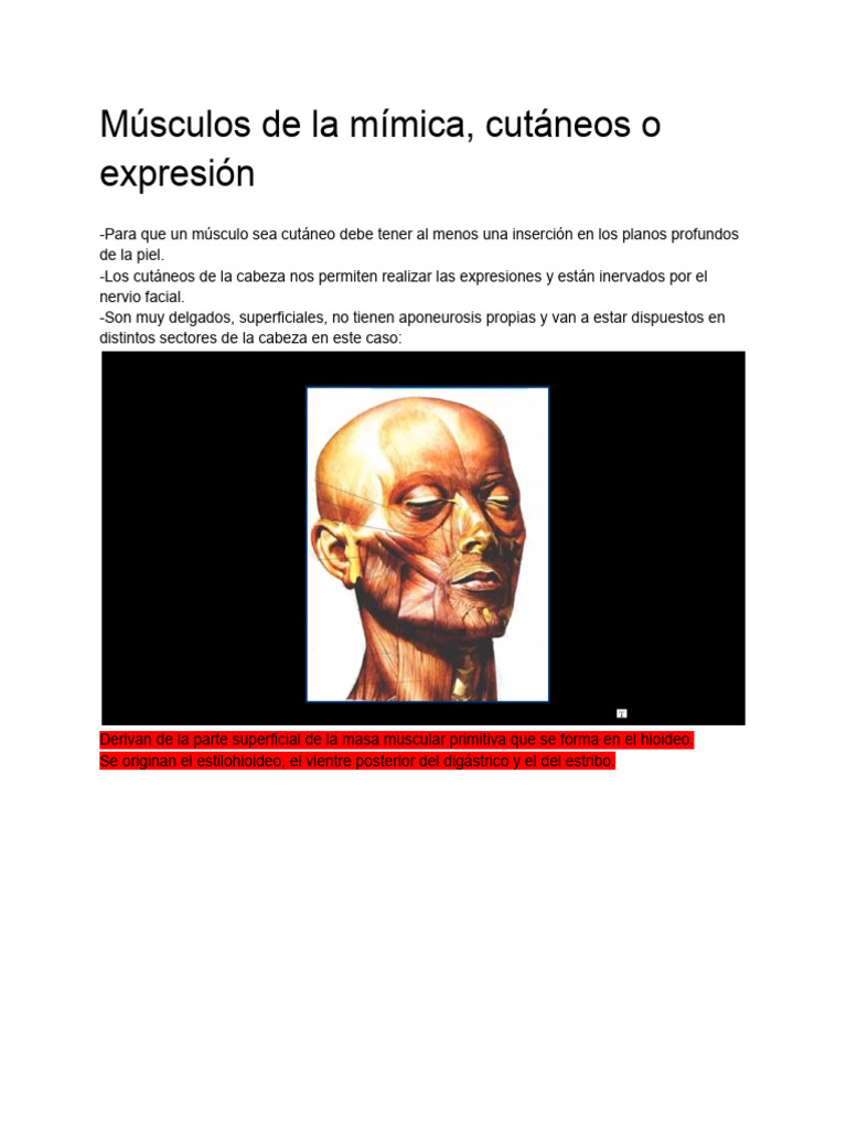 Músculos de La Mímica | PDF | Nariz humana | Anatomía humana