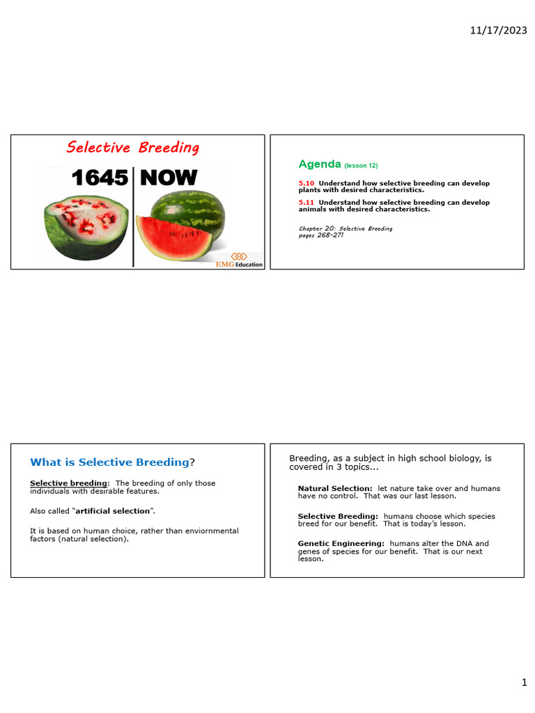 Understanding Selective Breeding | PDF | Selective Breeding | Agriculture