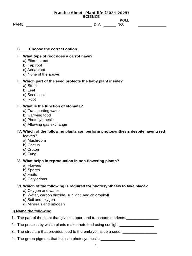 Plant Life Practice Sheet 2024-2025 | PDF | Plants | Leaf