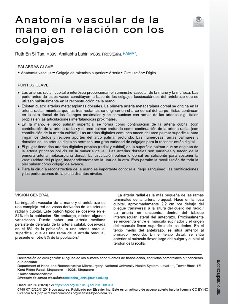Vascular Anatomy of the Hand in Relation to Flaps en español | PDF ...