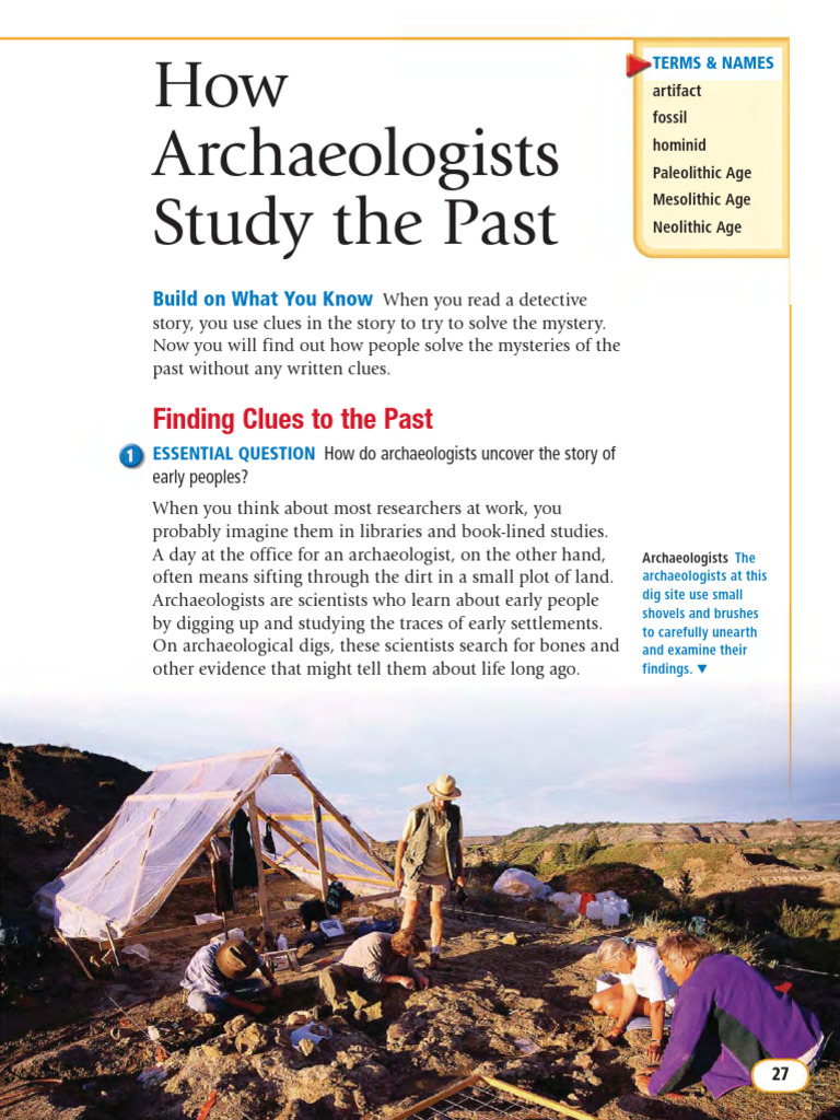 Archaeology: Uncovering Early Humans | PDF | Lucy (Australopithecus) | Homo