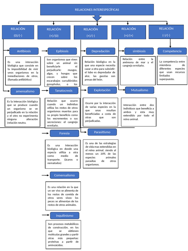 Mapa Conceptual de Relaciones Interespecificas | PDF | Simbiosis ...
